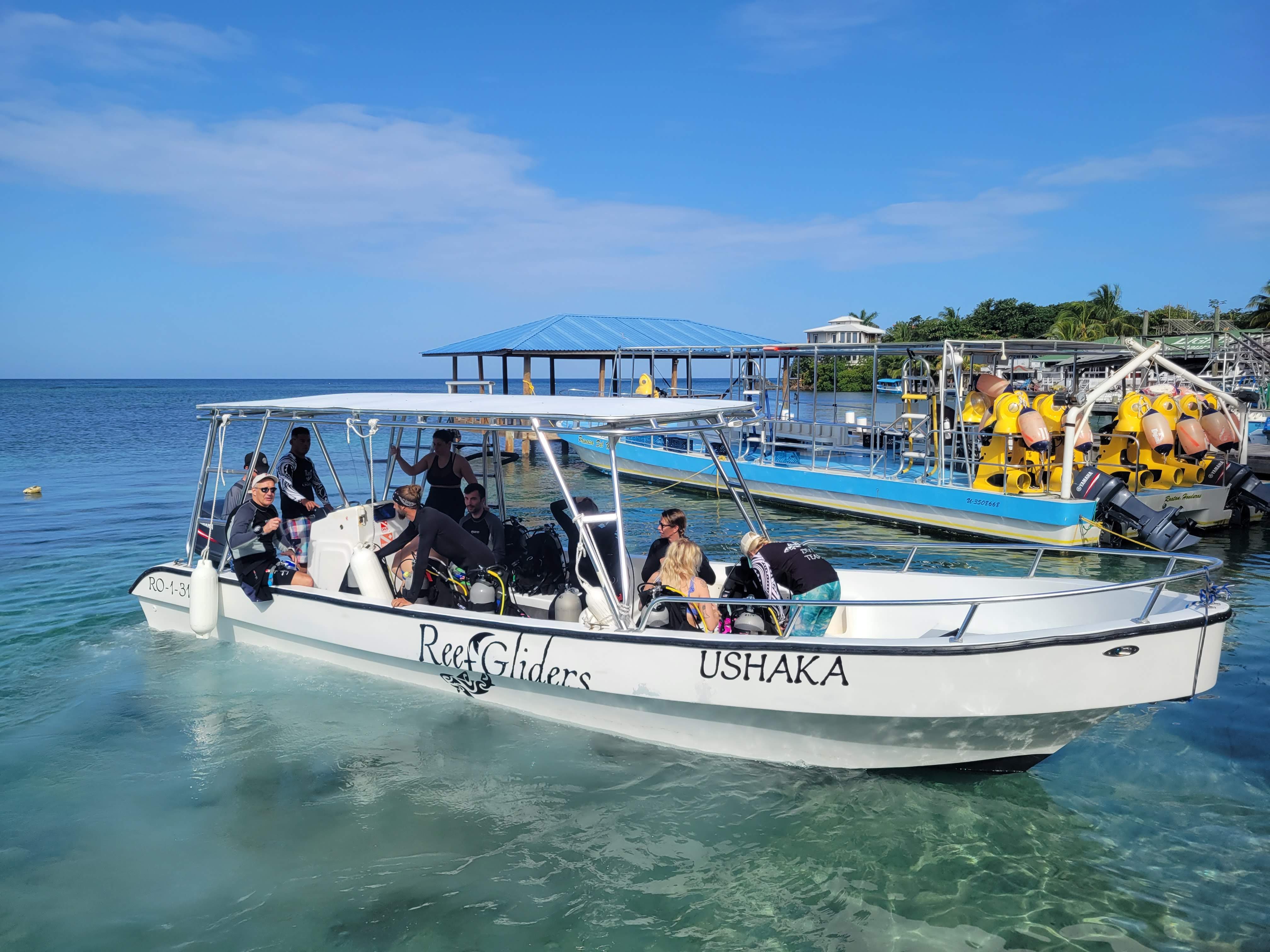 What's the story behind the logo & boat names of Reef Gliders?